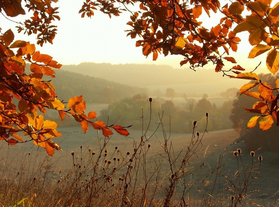 Technique photo : nos conseils pour réussir ses photos d'automne