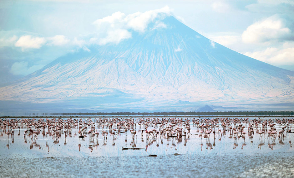 Les 50 meilleures photos du monde naturel, par The Big Picture