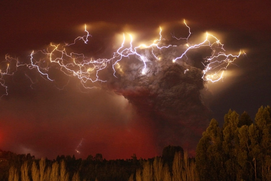 Les 50 meilleures photos du monde naturel, par The Big Picture