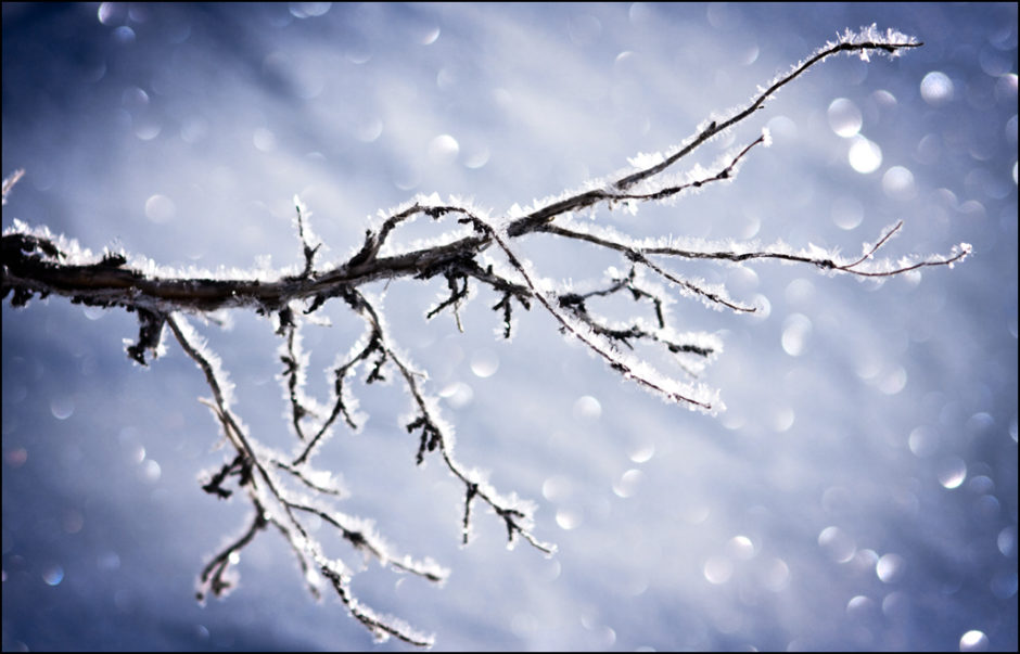 MP #121 : comment protéger son matériel photo du froid