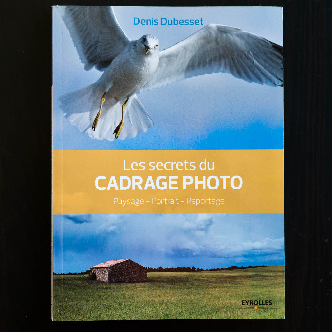 Tous les secrets du cadrage photo (paysage, portrait, reportage) avec ...