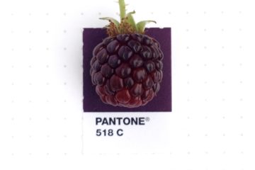 Acoluthic Redux de Andre Elliott