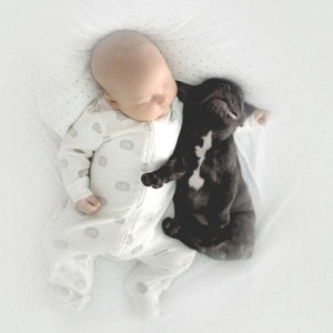 Breastfeeding Goddesses, ces femmes fières d'allaiter photographiées ...