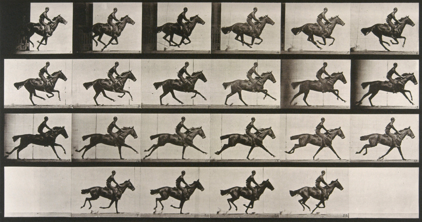 Le dessous des images : le galop du cheval