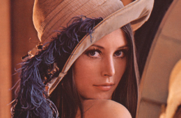 Les articles sur modèle