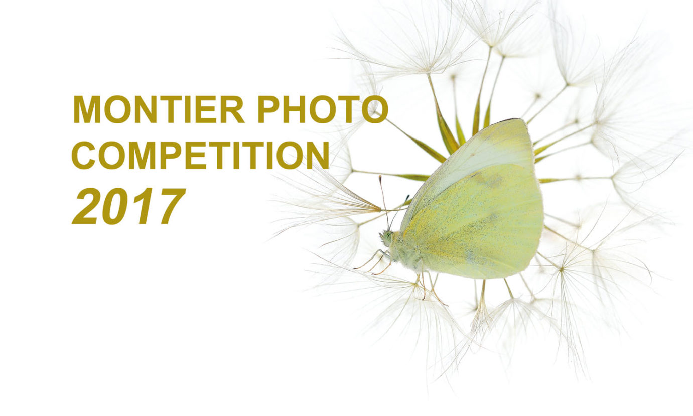 Festival Photo Montier : le concours international de photo nature ...
