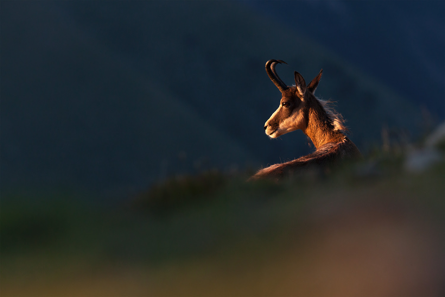 "Talents Nomades" 2017 de Fujifilm : le récit photographique à l'honneur