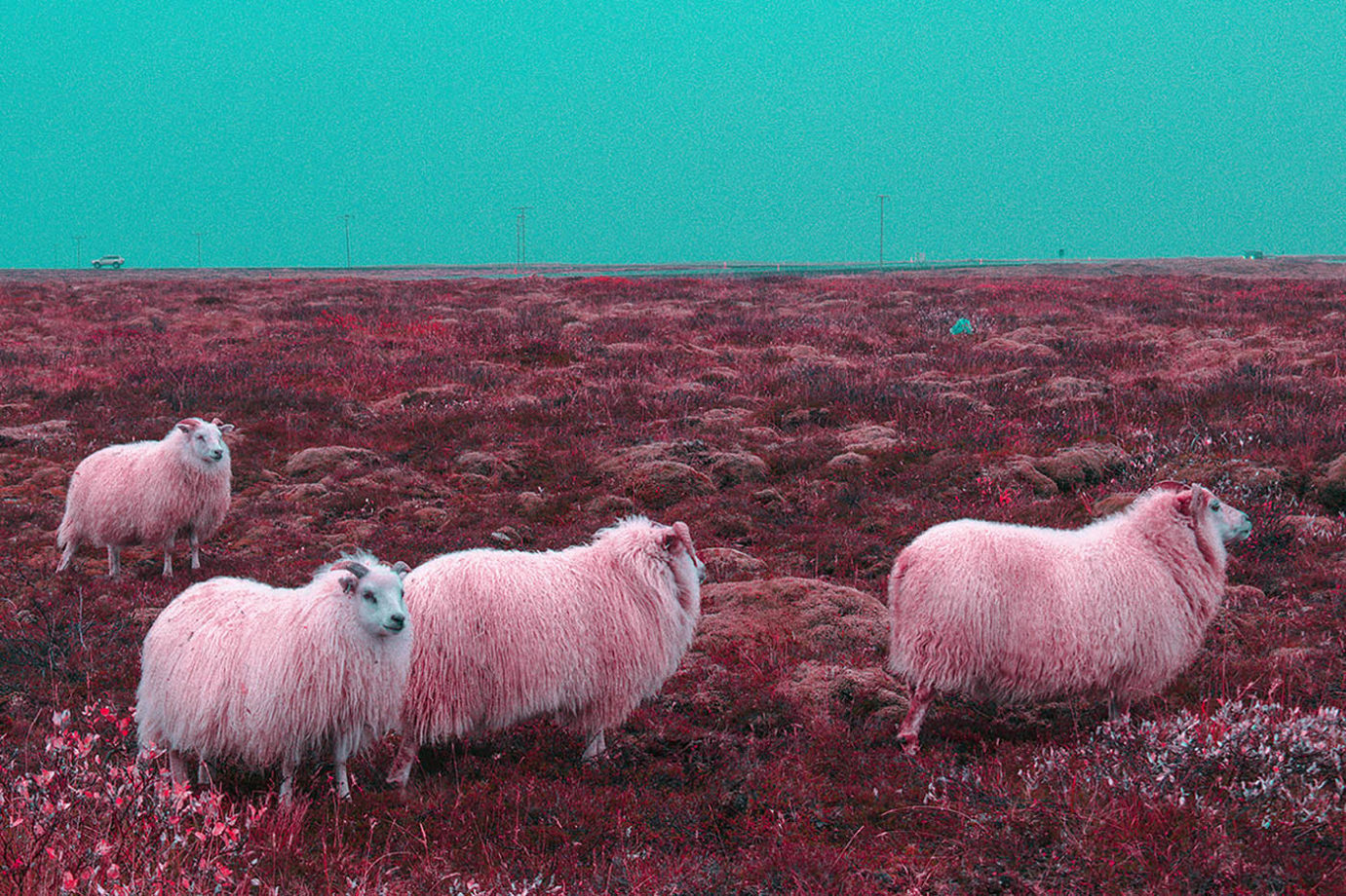 Dreamscape of Iceland : le voyage surréaliste d'Al Mefer