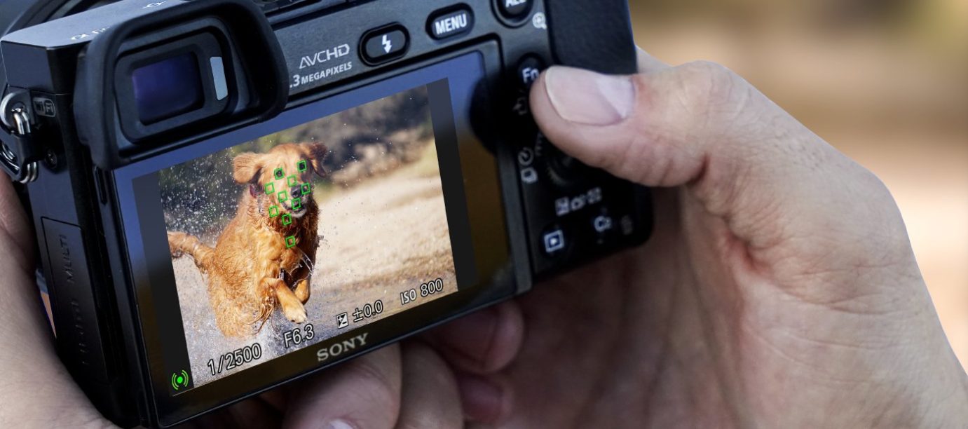 Vente flash : l'hybride Sony A6000 + 16-50mm à 489€