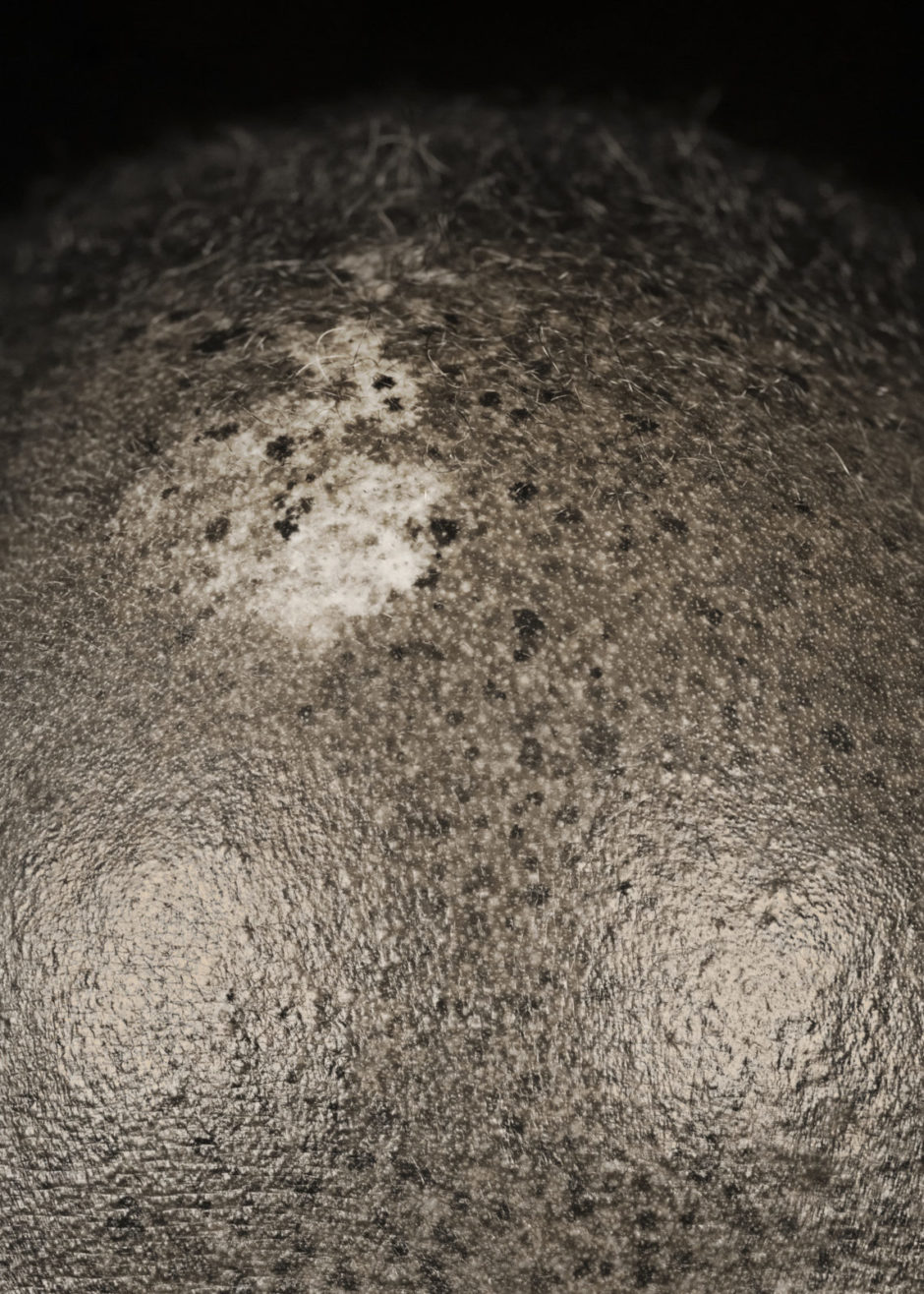 "Brut" de Pierre-Louis Ferrer : des portraits en ultra-violet qui ...