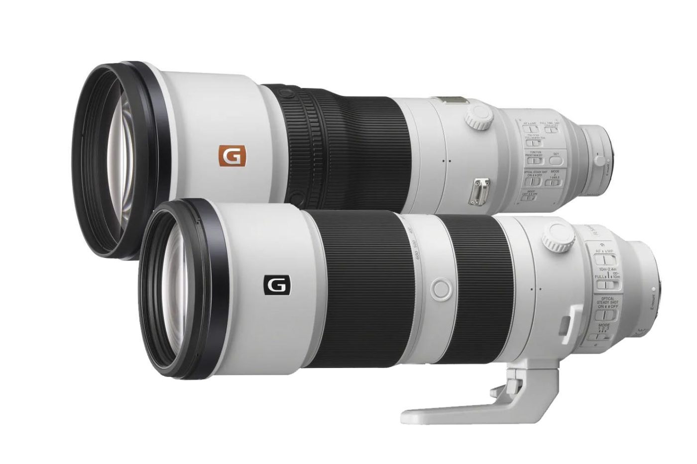 Sony FE 200-600 mm f/5,6-6,3 G OSS et FE 600 mm f/4 GM OSS : les longs ...
