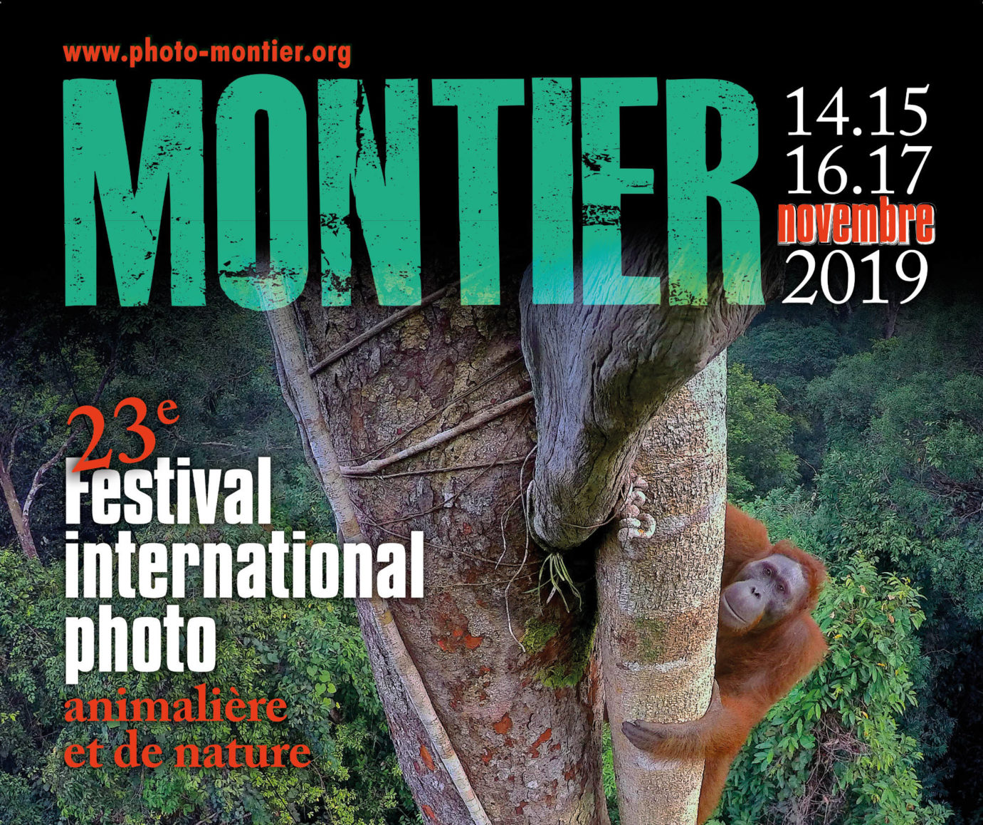 23ème édition du Festival Montier en Der : Le rendez-vous ...