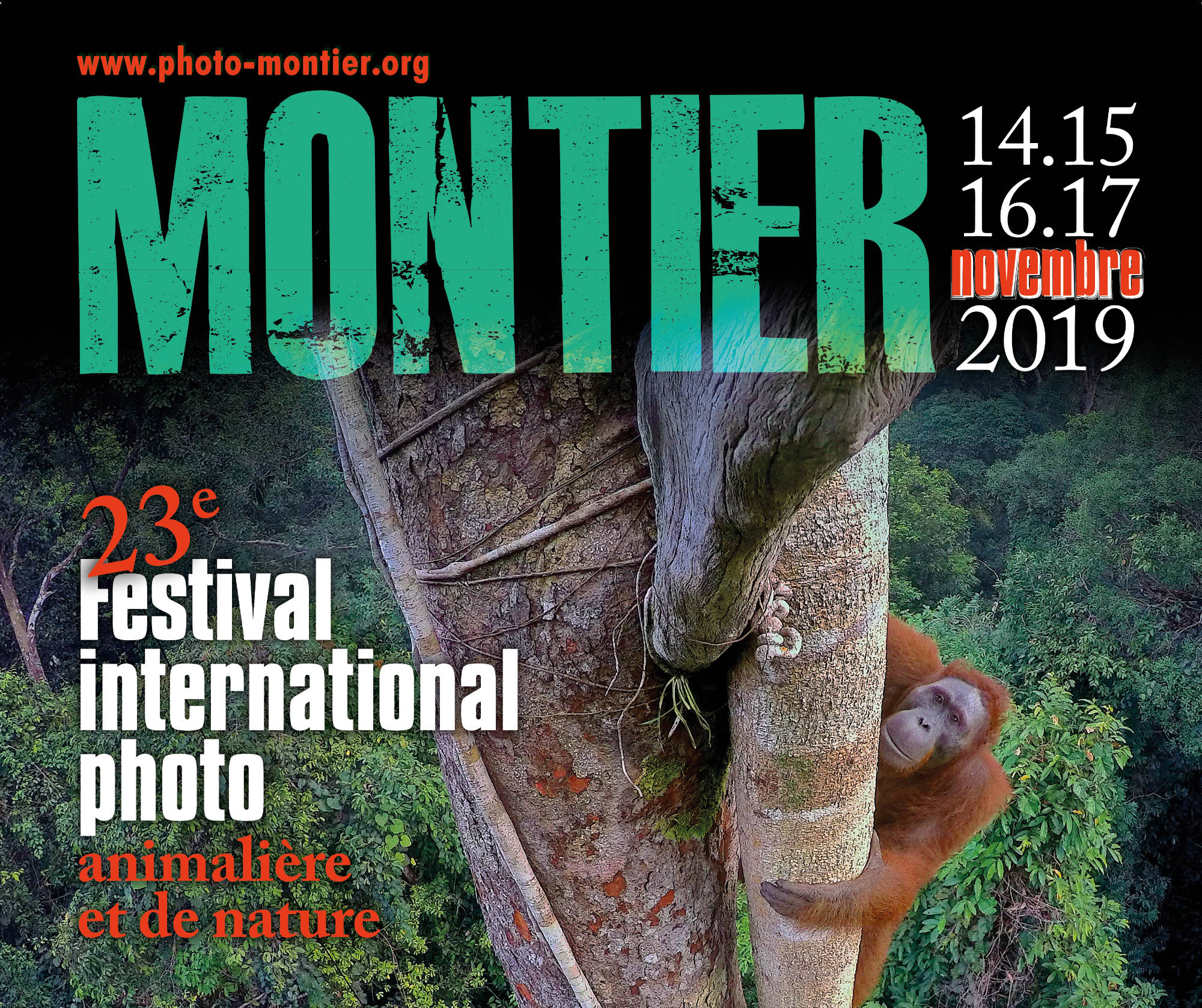 23ème édition du Festival Montier en Der : Le rendez-vous ...