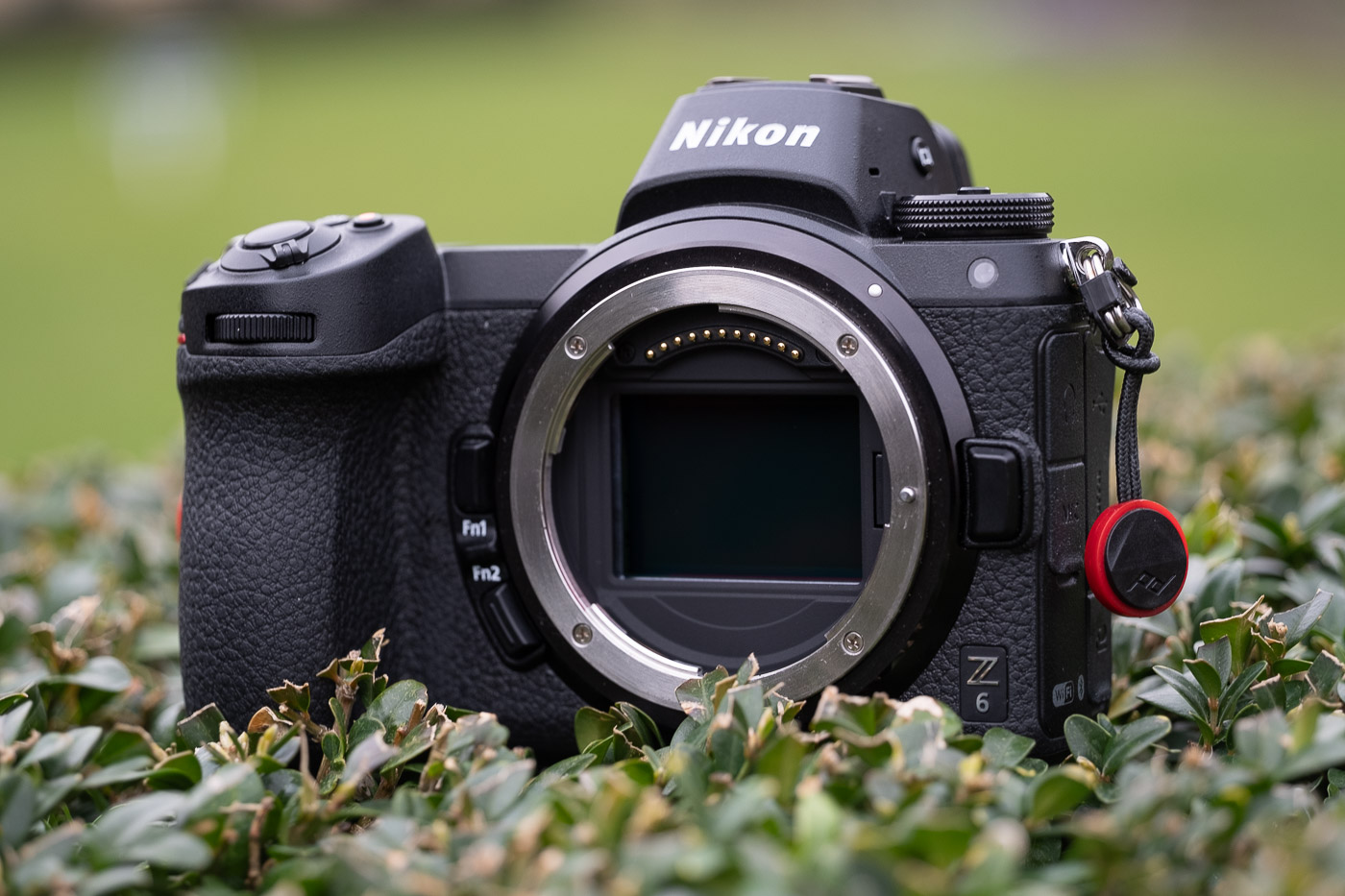 Test Nikon Z 6 : un an avec l'hybride plein format Nikon qui va vous ...