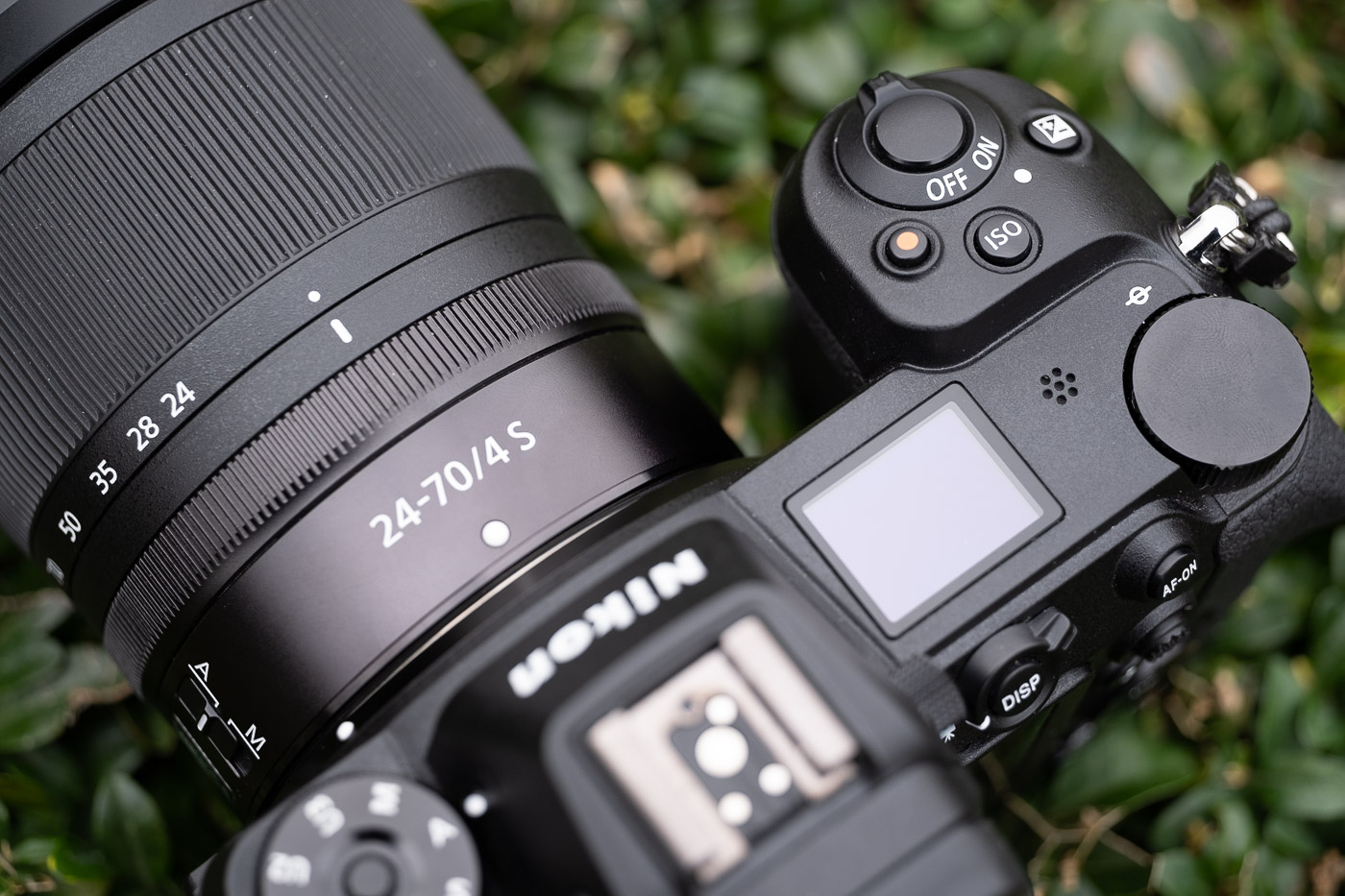 Test Nikon Z 6 : un an avec l'hybride plein format Nikon qui va vous ...