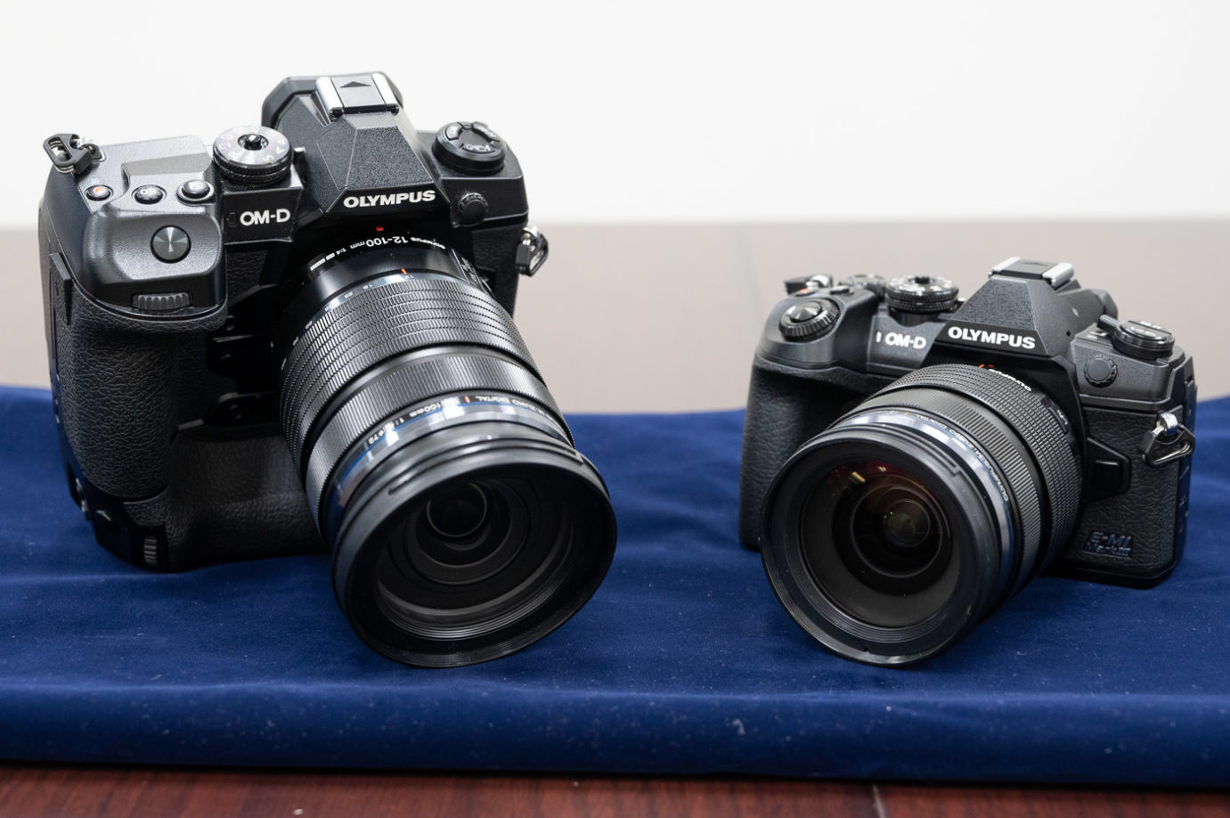 Firmware : Olympus met à jour ses OM-D et la détection des oiseaux ...