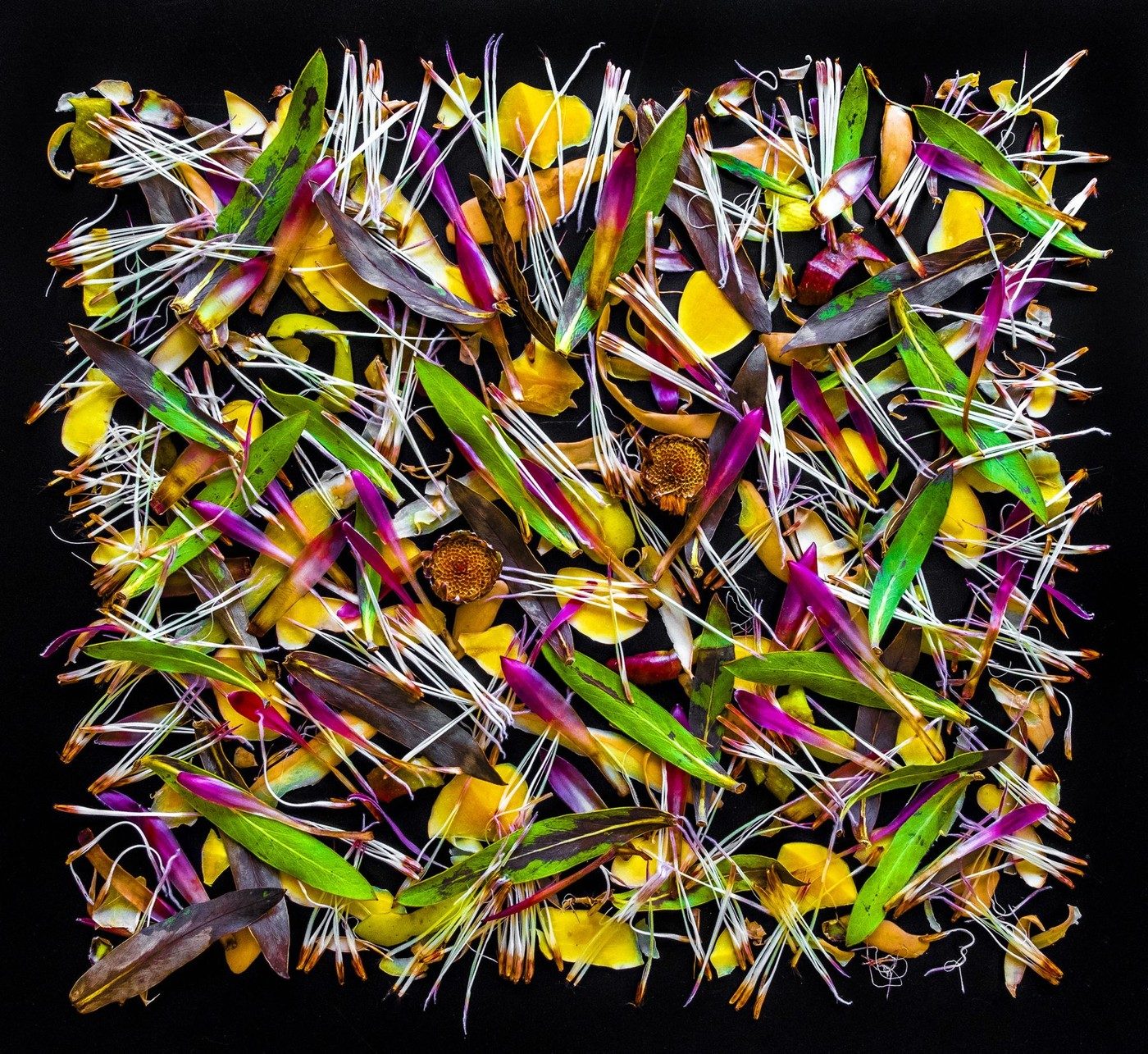 Les derniers articles sur Sarah Phillips - Phototrend