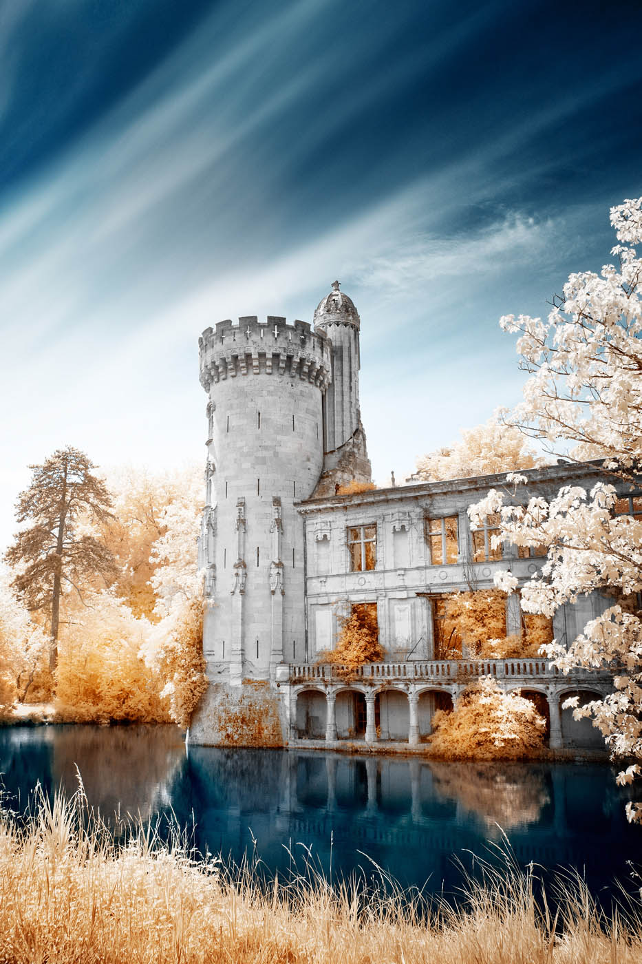 Photographie : rendez-vous chaque jour à 11h pour comprendre la ...