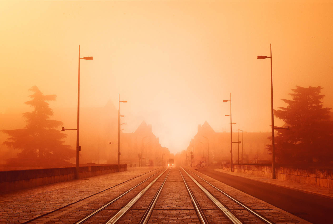 Photographie : rendez-vous chaque jour à 11h pour comprendre la ...