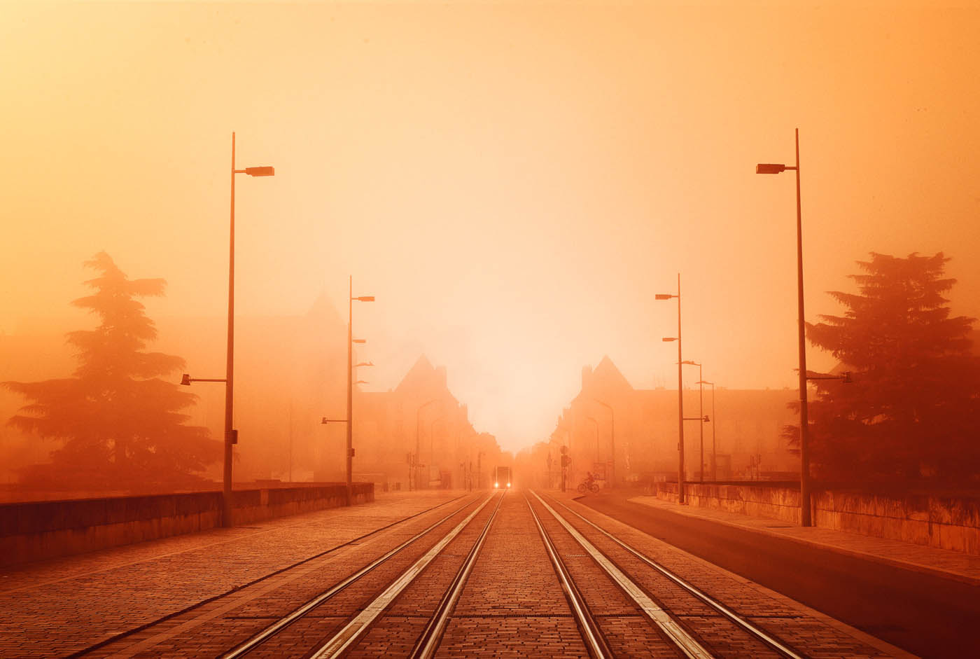 Photographie : rendez-vous chaque jour à 11h pour comprendre la ...