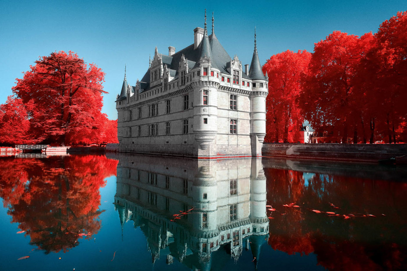 Photographie : rendez-vous chaque jour à 11h pour comprendre la ...