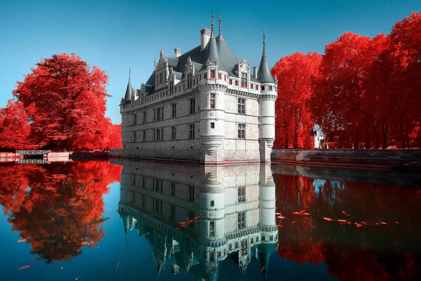 Photographie : rendez-vous chaque jour à 11h pour comprendre la ...