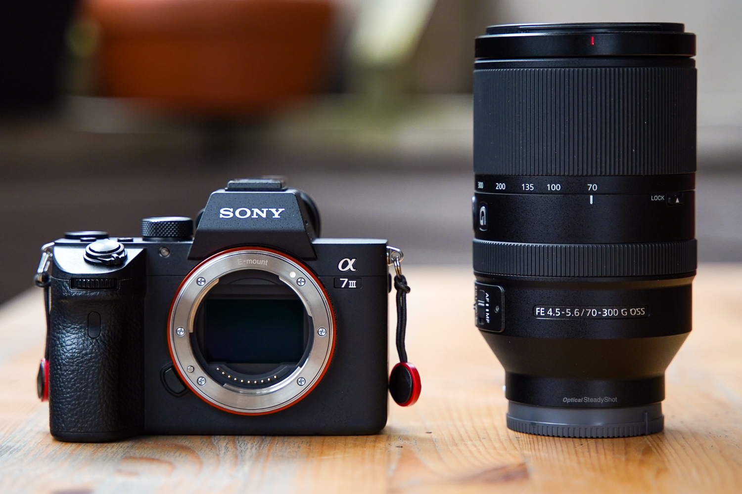 Test Sony FE 70-300 mm f/4,5-5,6 G OSS, téléobjectif polyvalent pour ...
