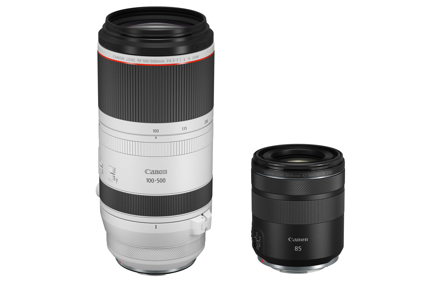 Canon RF 100-500 mm f/4,5-7,1 L IS USM et RF 85 mm f/2 IS Macro STM ...