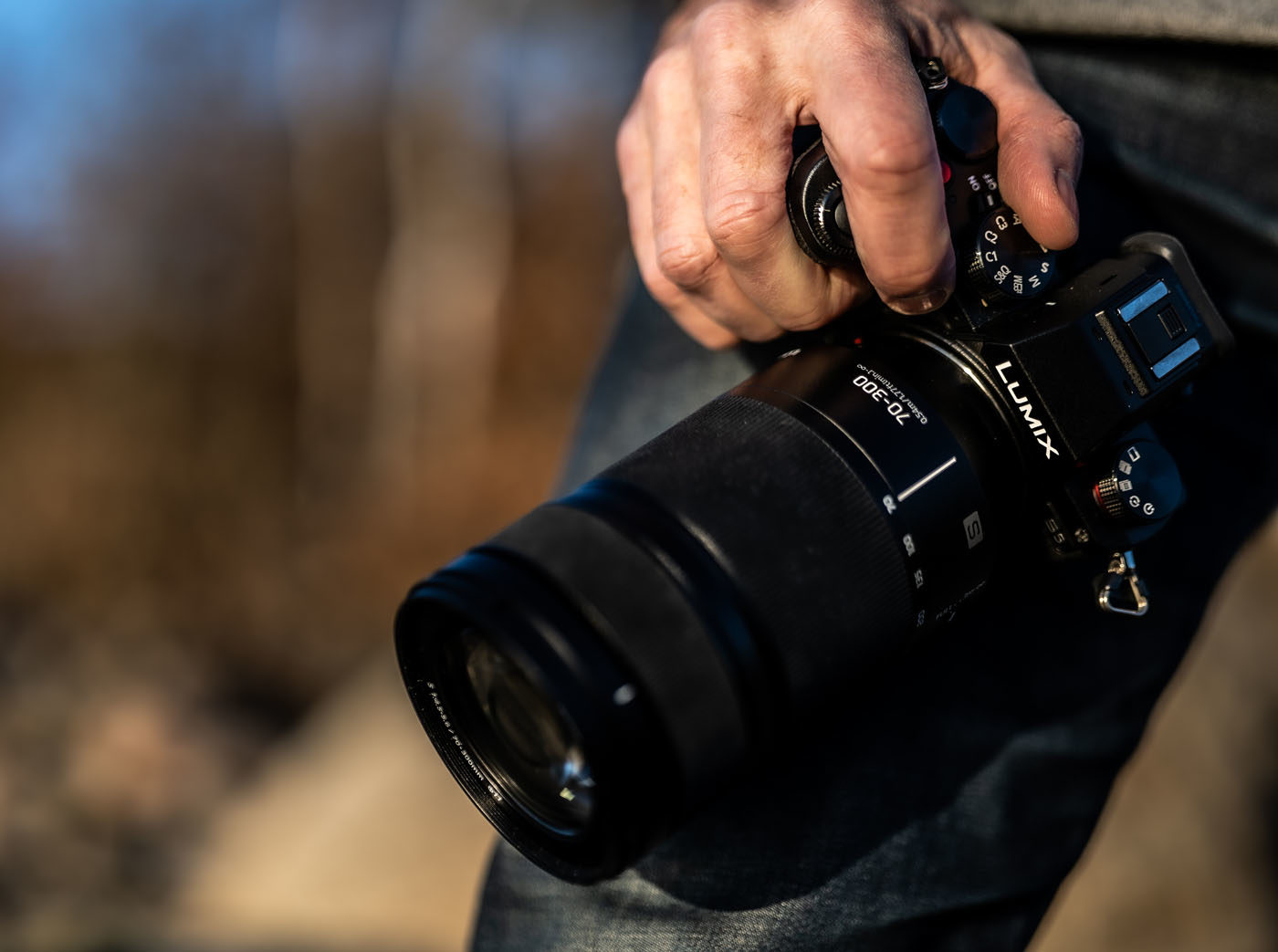 Panasonic Lumix S 70-300 mm f/4,5-5,6 Macro O.I.S : zoom polyvalent en ...