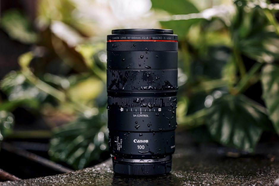 Canon RF 100 mm f/2,8 L macro IS USM : comme une petite révolution