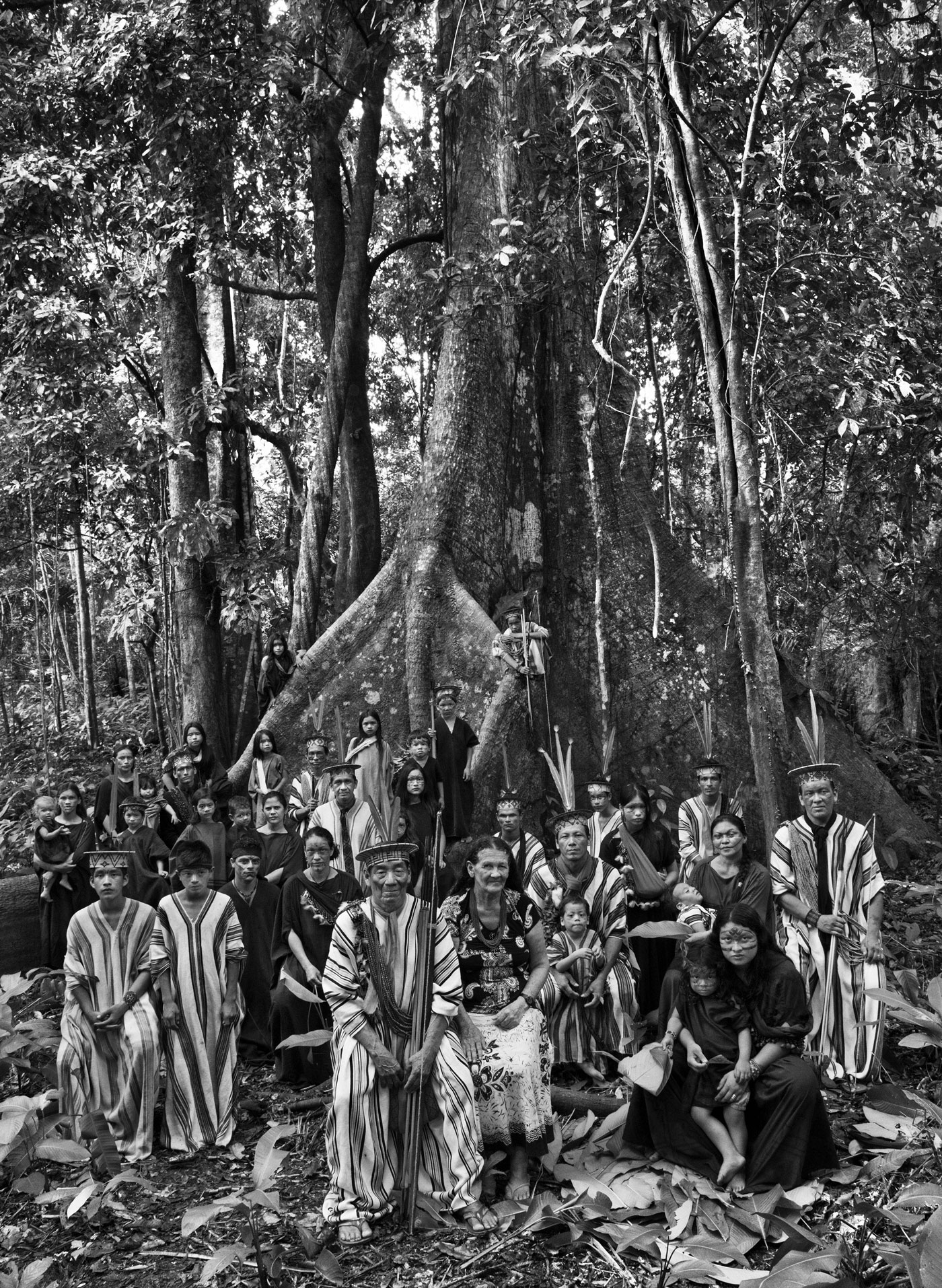Amazônia : Sebastião Salgado sur les traces des peuples indigènes de la ...