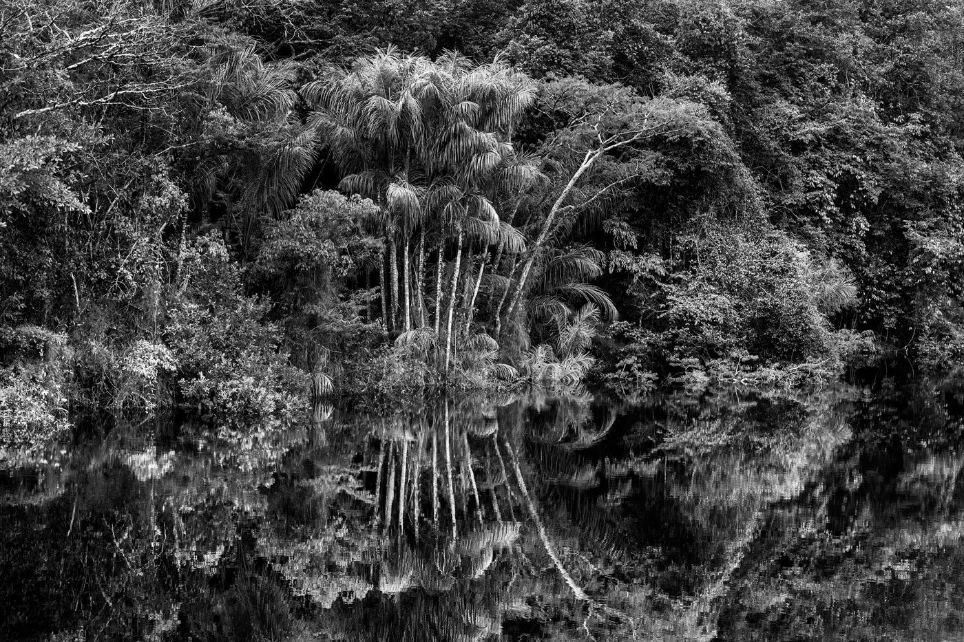 Amazônia : Sebastião Salgado sur les traces des peuples indigènes de la ...