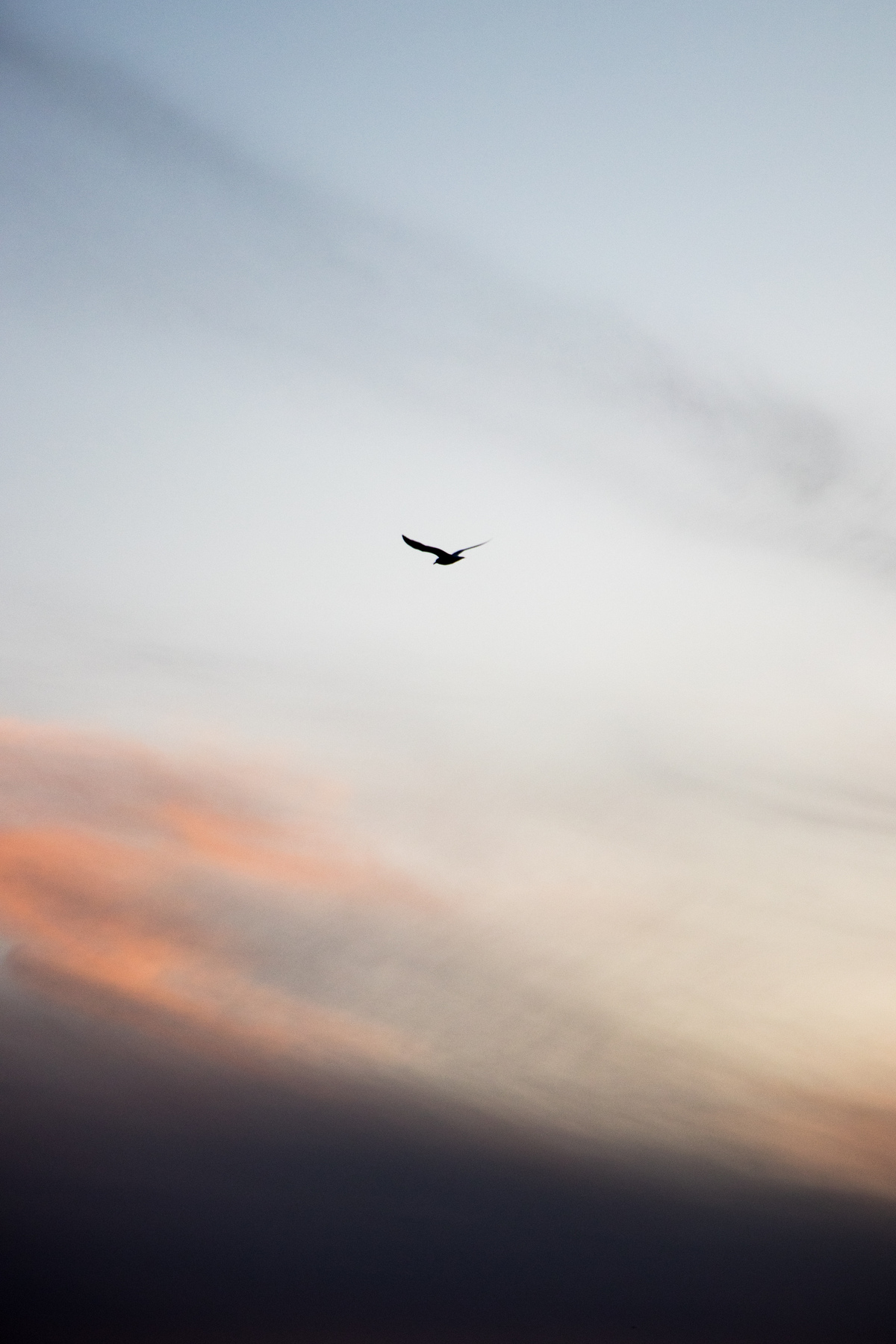 DLSP #114 : Dans le sac photo de Clément Marx