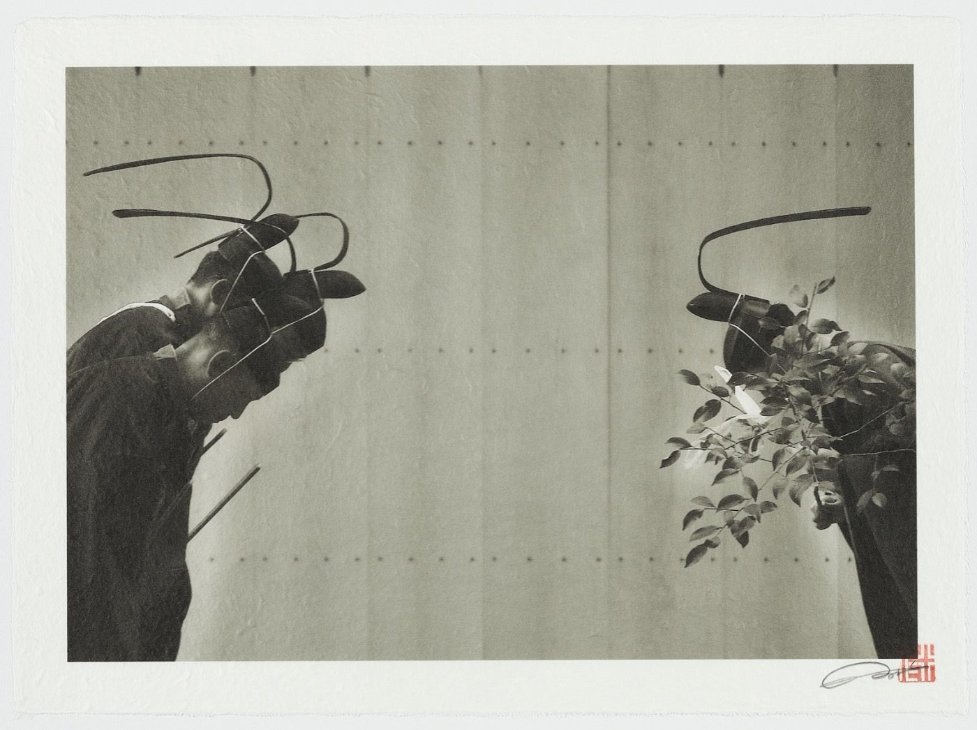 Masuura Yukihito : la photographie contemporaine japonaise pour la ...