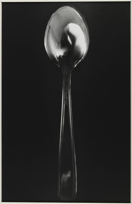 Le Pavillon Populaire de Montpellier montre les métamorphoses de la ...