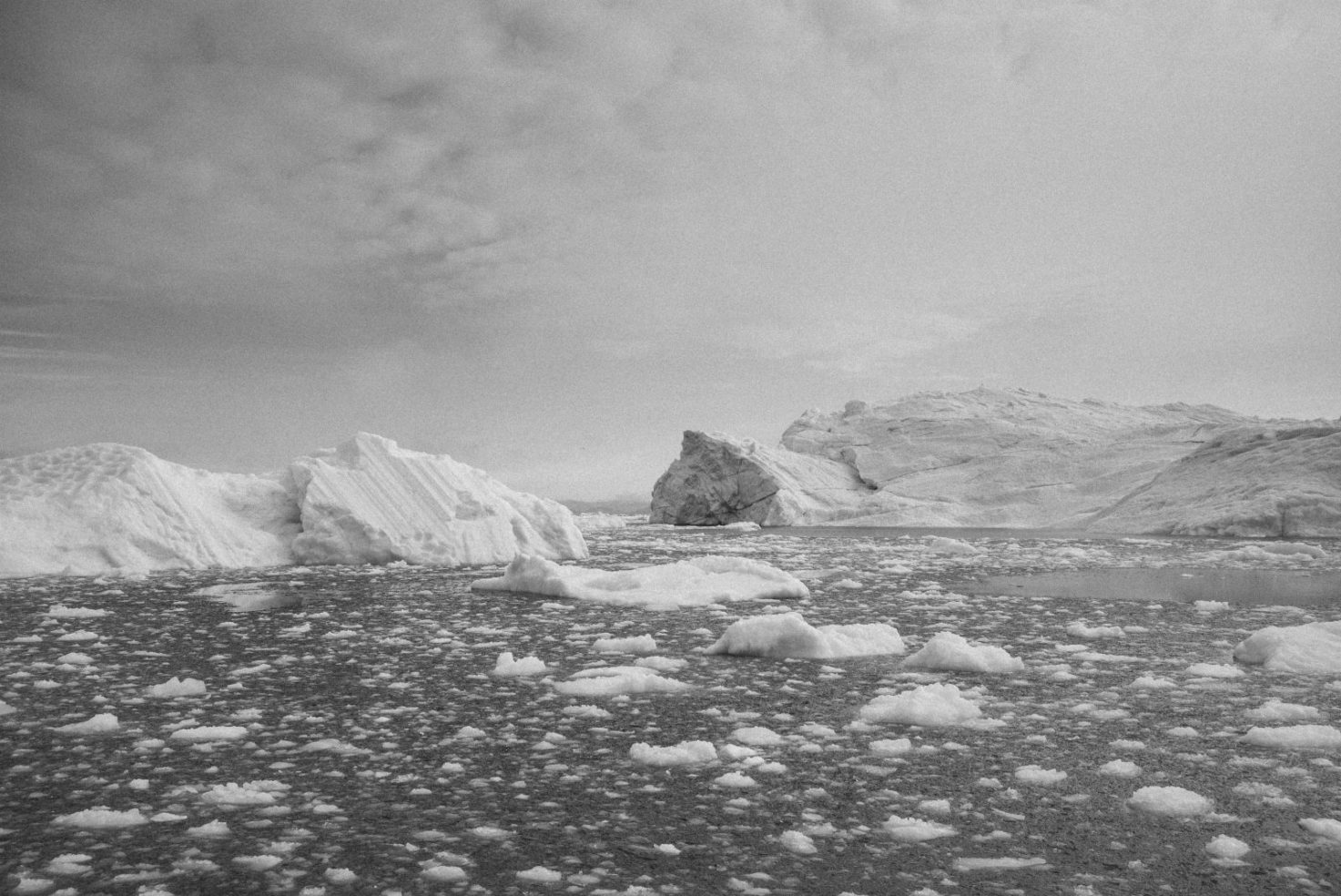 Neige Noire : témoignage d'un Groenland en plein bouleversement