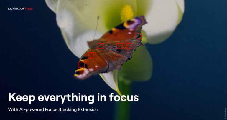 Test de l'extension Focus Stacking sur Luminar Neo