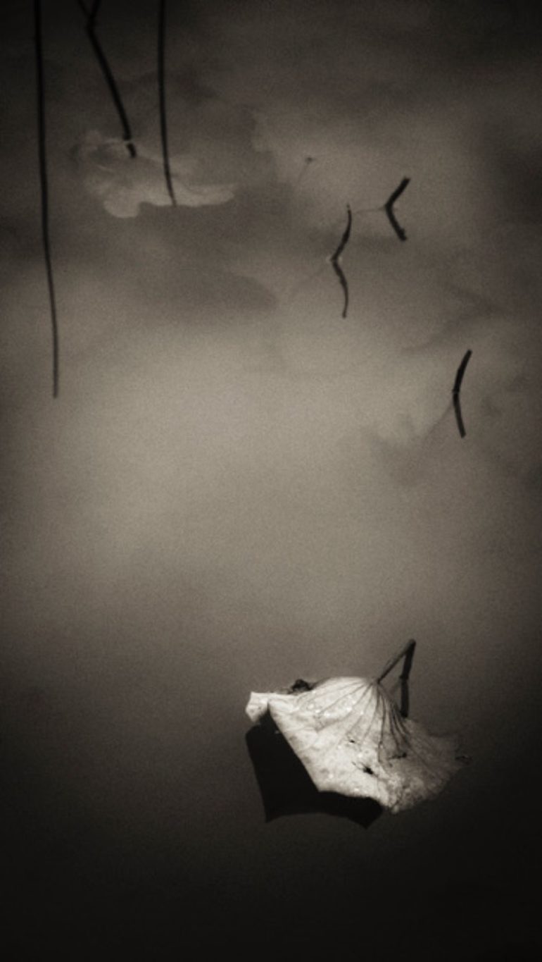 Fabrice Domenet : voir le monde les yeux fermés