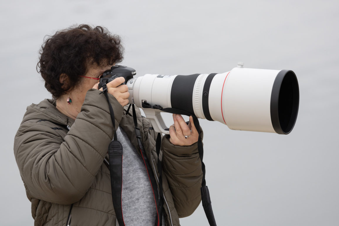 Festival Montier-en-Der 2022 : une 25e édition à ne pas manquer