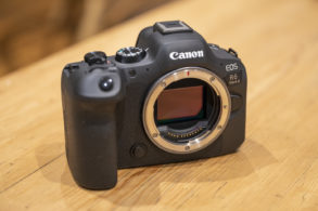 Test Canon EOS R6 Mark II à Montier-en-Der