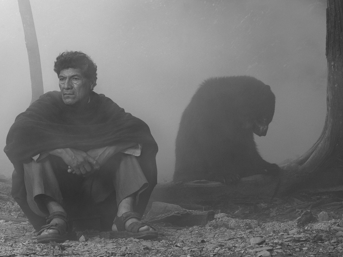 The Day May Break de Nick Brandt revient à la Galerie Polka