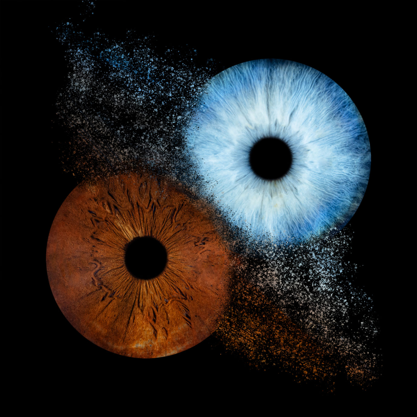 Interview : Emeric Wehbeh, fondateur d'Iris Galerie