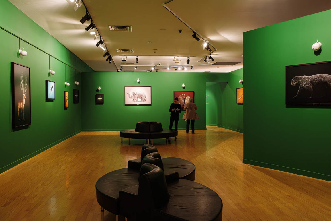 Auctus Animalis de Vincent Fournier et Sébastien Gaxie, le Prix Swiss Life à 4 mains exposé à Metz