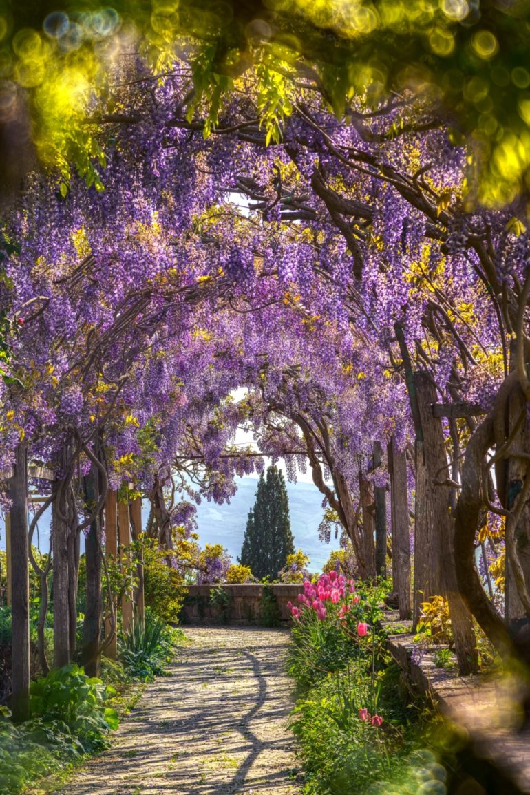 YellowKorner fait sa Grande Expo à La Hune