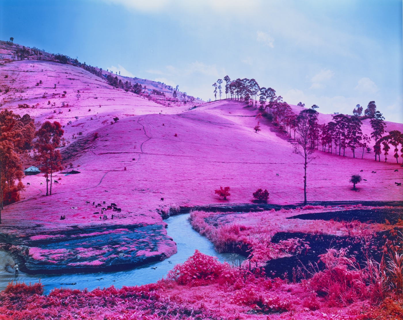 Christie's Paris organise une vente des plus grands clichés de la ...