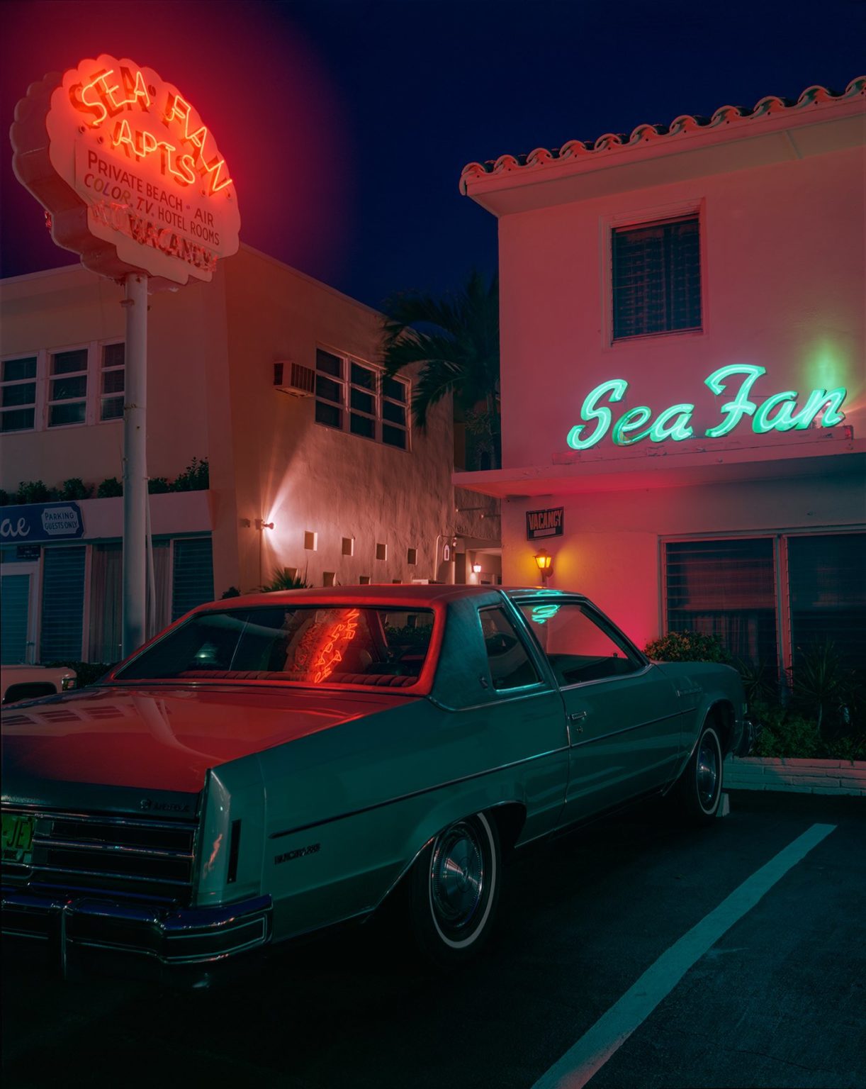 Joel Meyerowitz : un Panorama couleur de l'Amérique à la galerie Polka