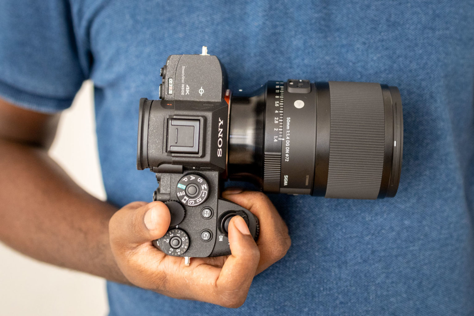 Zander Olsen : des arbres et des lignes