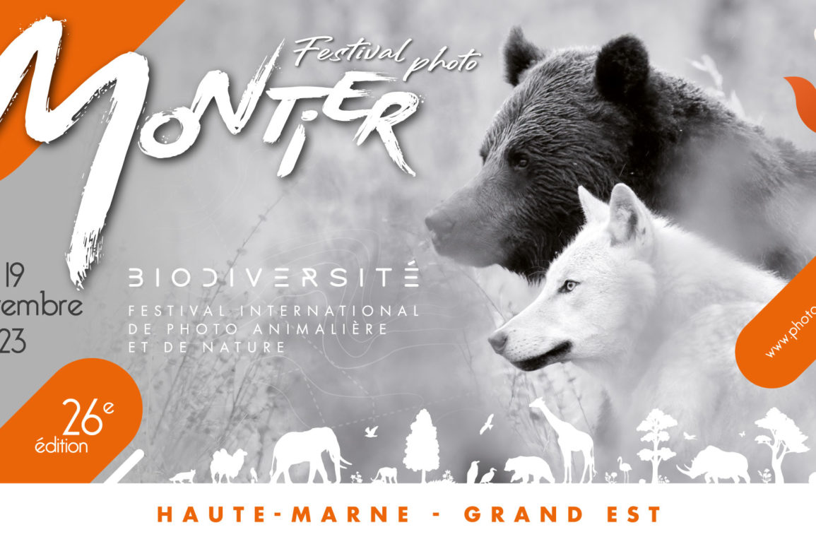 Helga Steppan : See Through, une série pleine de couleurs