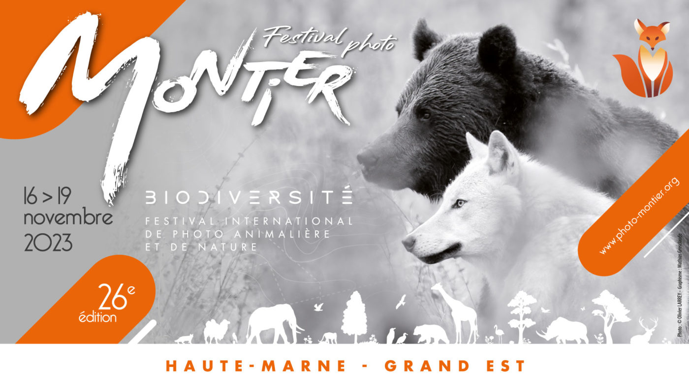 Helga Steppan : See Through, une série pleine de couleurs