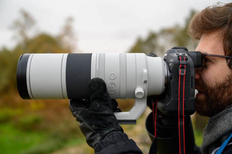 Prise en main Canon RF 200-800 mm f/6,3-9 IS USM : un (gros) super ...